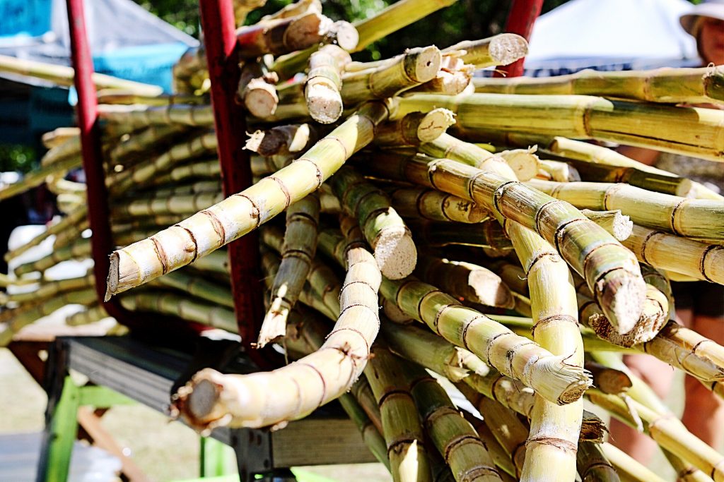 4 Types of Renewable Energy | Gunawan Jusuf