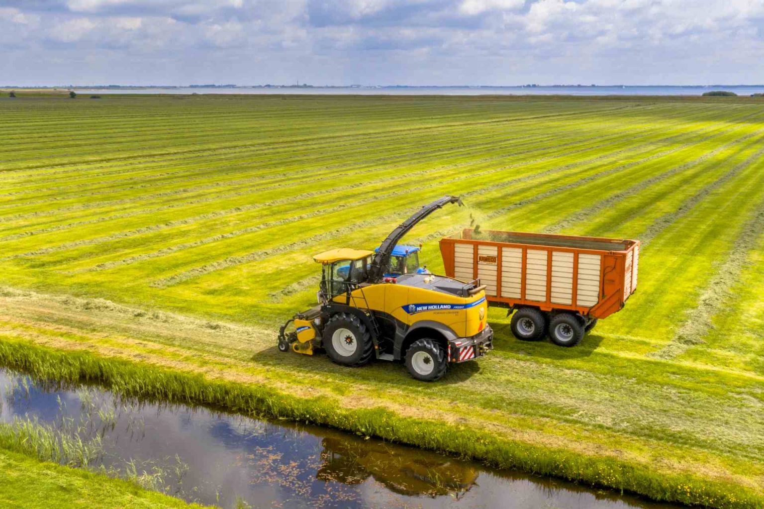 Sugar Cane Bagasse for Biomass and Biofuel Applications