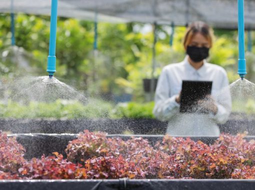 Gunawan Jusuf | Executive, Entrepreneur, and Renaissance Man